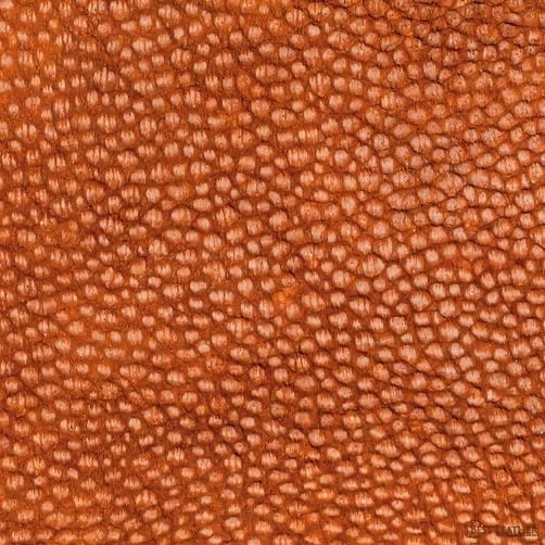 Capybara Leather - Leather Repair Company - Leather Encyclopaedia